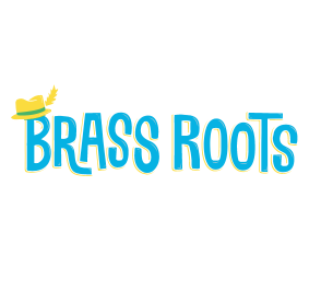 Incan Seeds 101 (aka sacha inchi) – Brass Roots